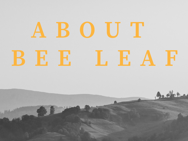 About Us - BeeLeaf