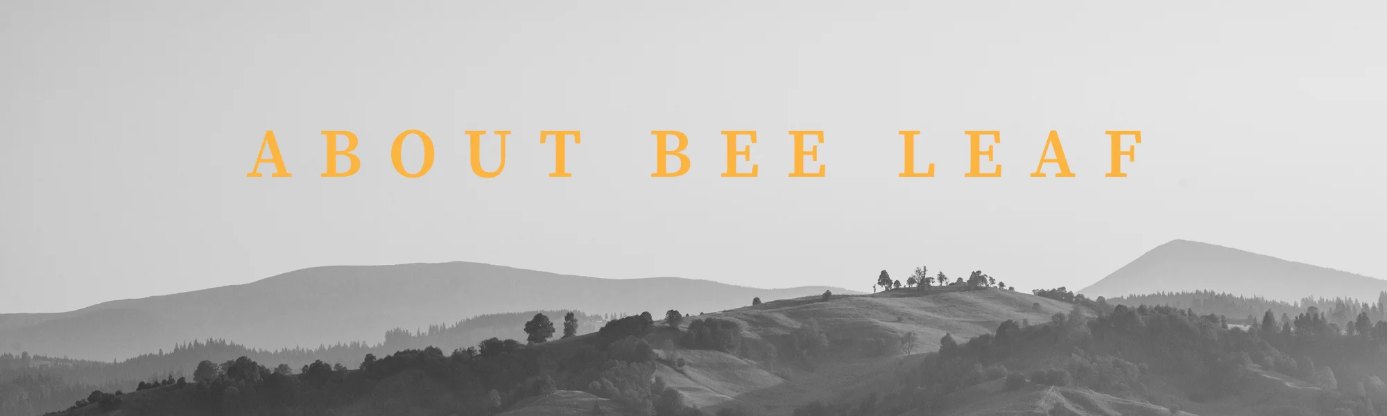 About Us - BeeLeaf