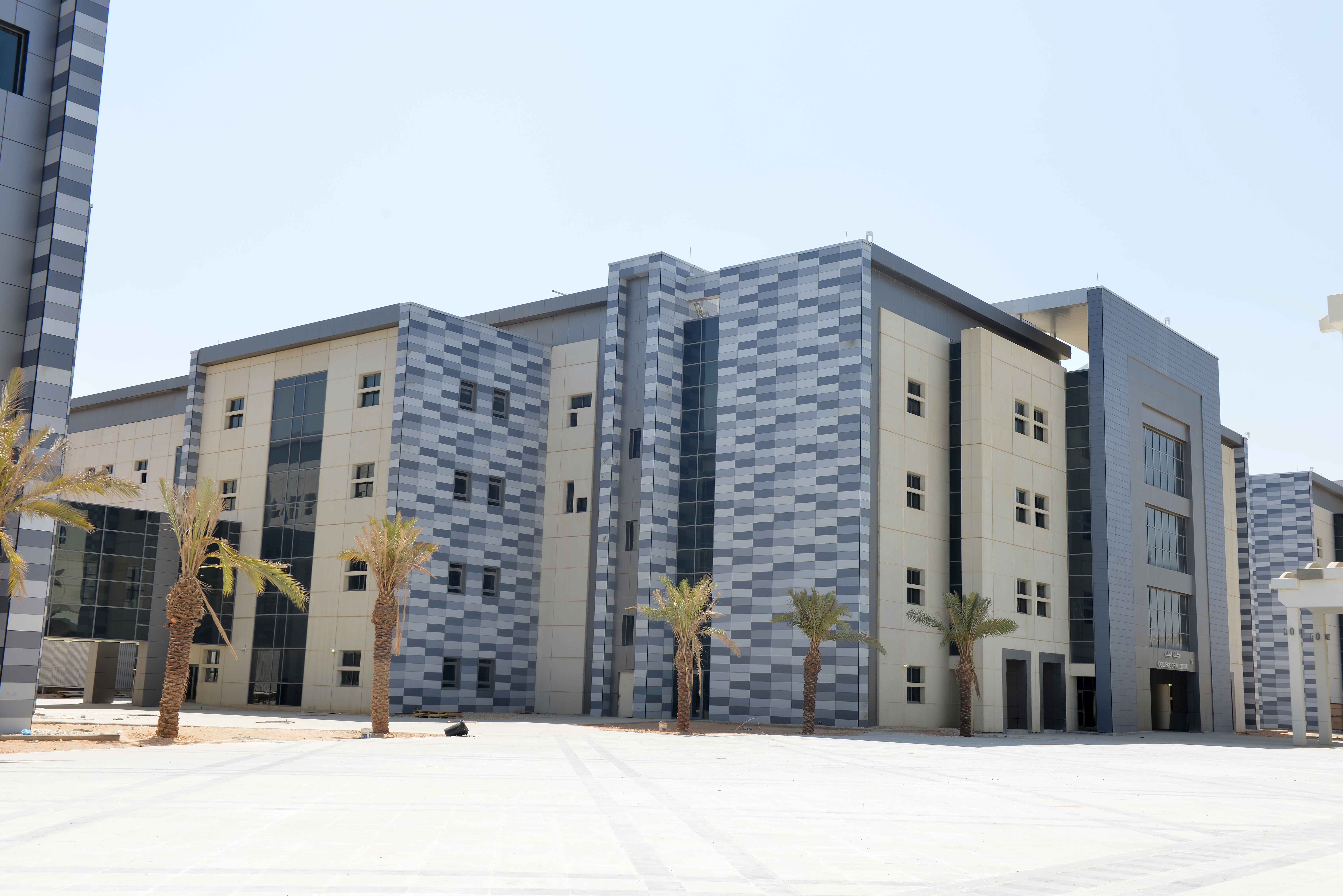 GOVERNMENT - Free Design