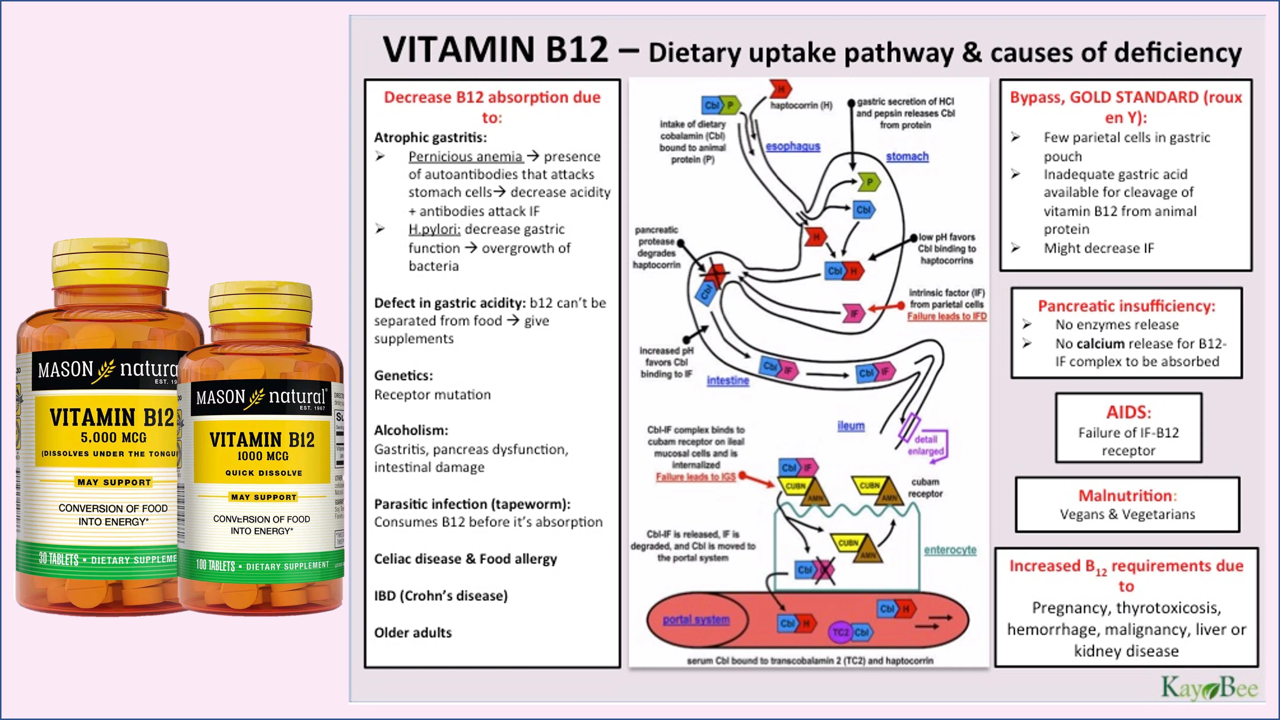 WHY CHOOSE VITAMIN B12 SUBLINGUAL? - Kaybee Pharma