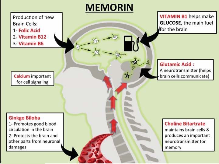 Memorin - 60 Capsules - Memorin | Alfa Vitamins - Kaybee Pharma