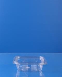 THERMOFORMING 100 CC SQ/pack/600 - disposaable plastics - MKS packaging