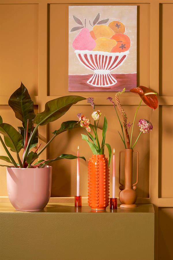 Panda Boutique | Stylish and Functional Home and Garden Essentials in ...