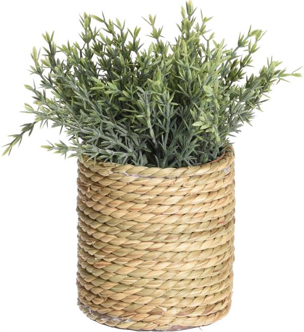 Panda Boutique | Stylish and Functional Home and Garden Essentials in ...