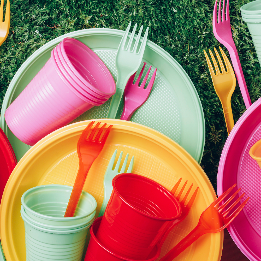 Party and More | Celebrate in Style with Party and More - Your Ultimate ...