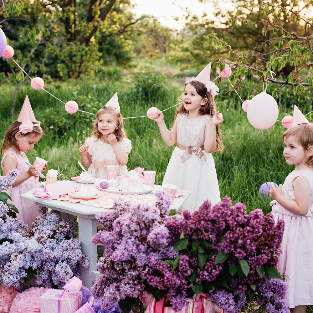 Party and More | Celebrate in Style with Party and More - Your Ultimate ...