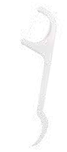 Cleo-Dent Floss Tooth Pick - Dental Products | Cleo-Dent - Zigzag ...